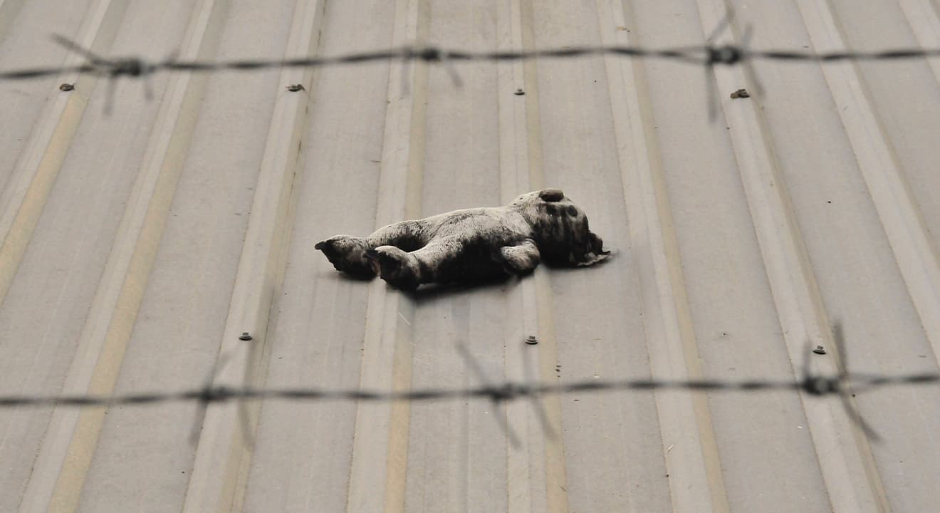 Transforming Society ~ IMPACT CASE STUDY: The story of ‘Baby P’