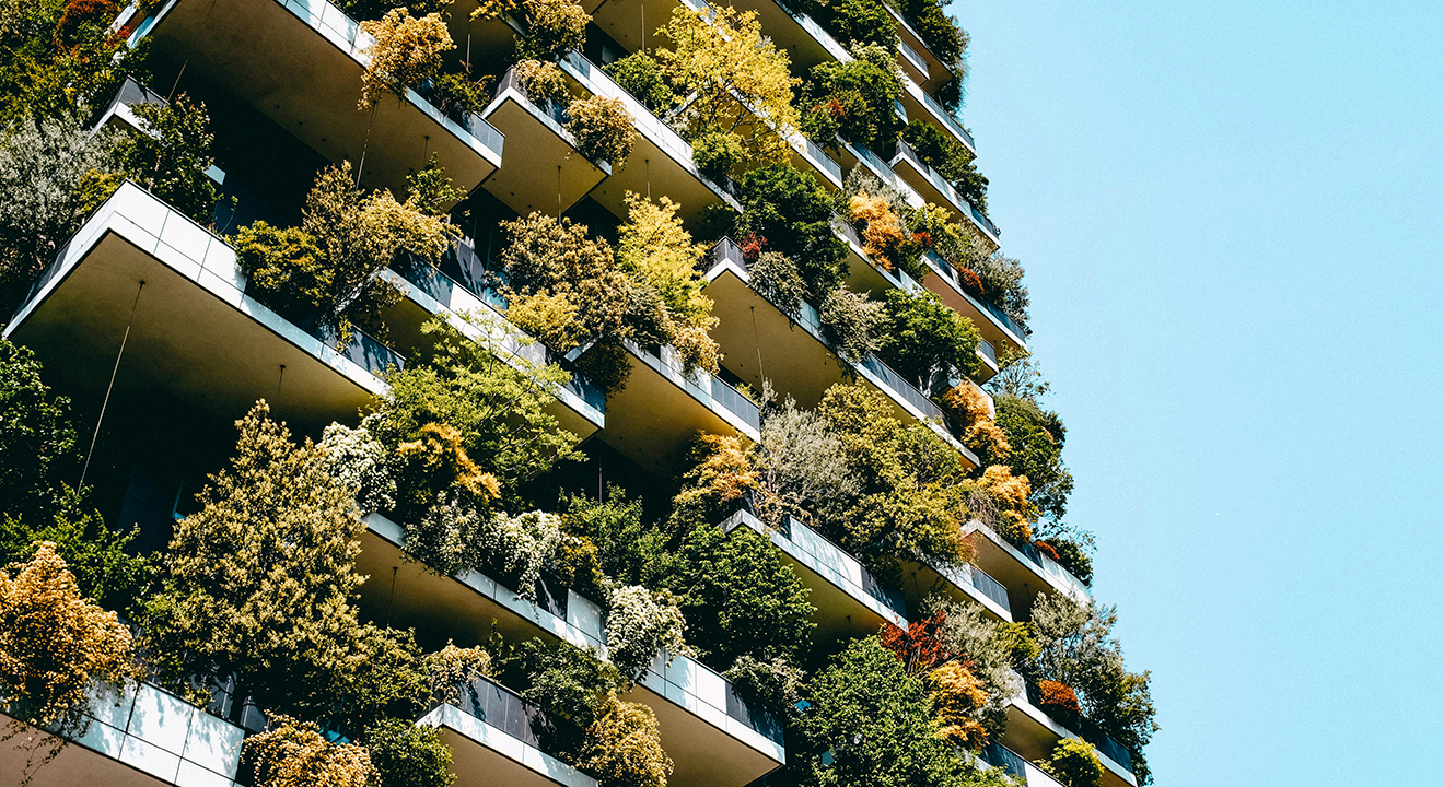 Transforming Society ~ Transformation or metamorphosis for post-carbon ...